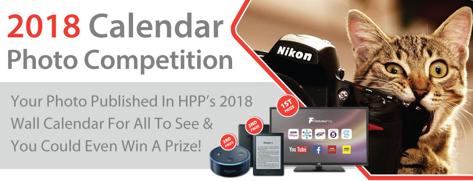 HPP - Board, Doors, Fittings for furniture